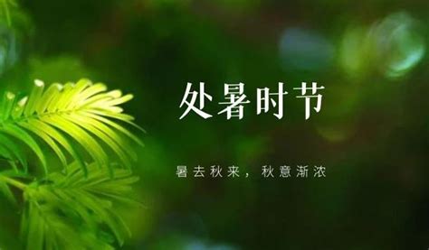 那些温柔走心的处暑文案 知乎