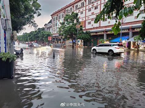 台风“泰利”登陆广东湛江，中心附近最大风力13级绿政公署澎湃新闻 The Paper