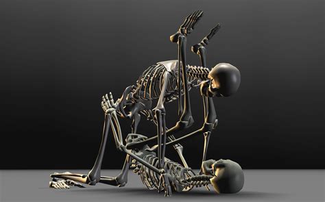 Skeleton Wallpaper WallpaperSafari