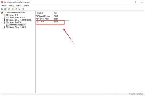 在与 Sql Server 建立连接时出现与网络相关的或特定于实例的错误。未找到或无法访问服务器。请验证实例名称是否正确并且 Sql Server 已配置为允许远程连接。sqlserver