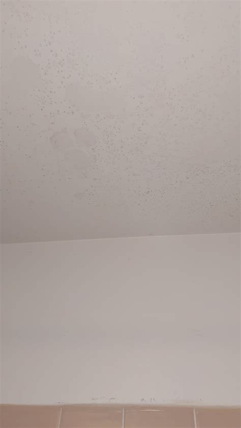 Bathroom Ceiling Mold R Cleaningtips