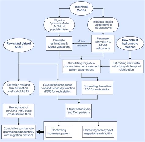 The Analytical Framework For Migration Dynamics Of Released Subadult