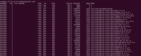 Steps To Install Lsof On Ubuntu 20 04 LTS HackerXone