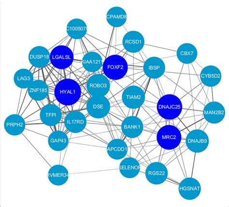 Top 30 Hub Genes In The Turquoise Module Hub Genes Are Represented Download Scientific