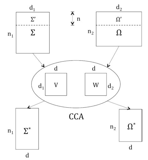 A Survey Of Cross Lingual Word Embedding Models
