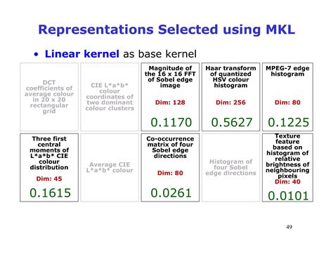 multiple kernel learning based approach to representation and feature