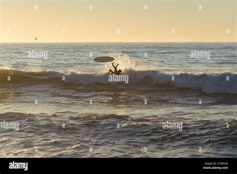 A Male Surfer Rides A Wave Toward Shore Only To Be Thrown Off His