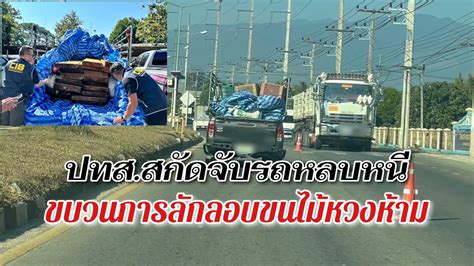 📌ไม่รอด ขบวนการลักลอบขนไม้หวงห้าม ขับรถหลบหนีการจับกุม พบนายทุนต่างชาติอยู่เบื้องหลัง Youtube