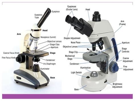 Brightfield Microscope Lecture 2 Pptx Photography Arts And Crafts