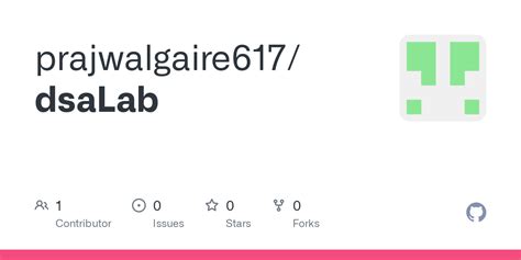 Github Prajwalgaire617dsalab