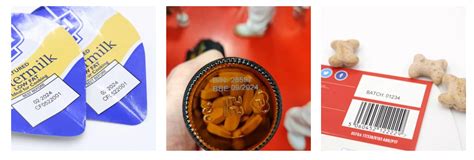 Basic Knowledge About Batch Codes