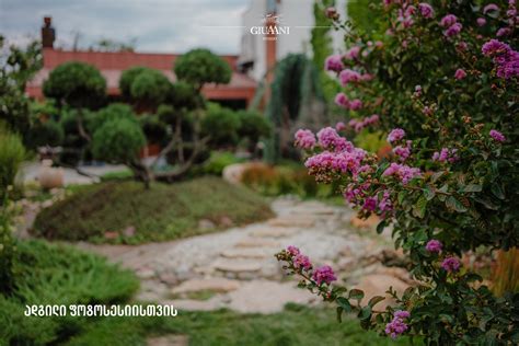 📸 გიუაანი Giuaani Winery • გიუაანი მეღვინეობა