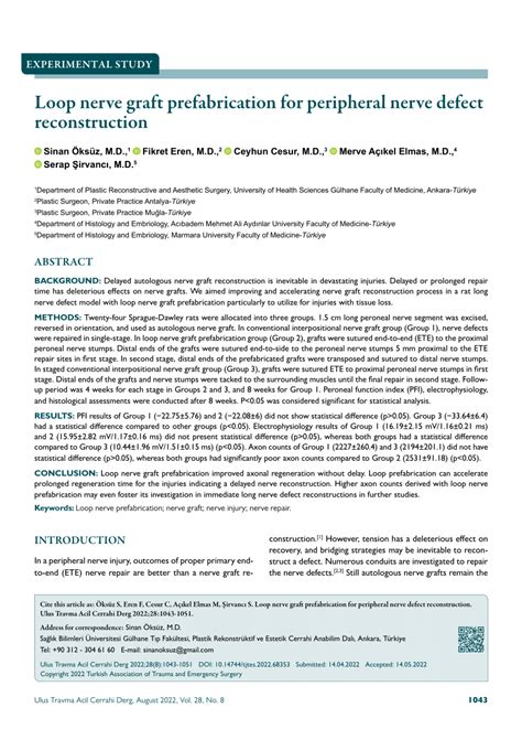 Pdf Loop Nerve Graft Prefabrication For Peripheral Nerve Defect Reconstruction