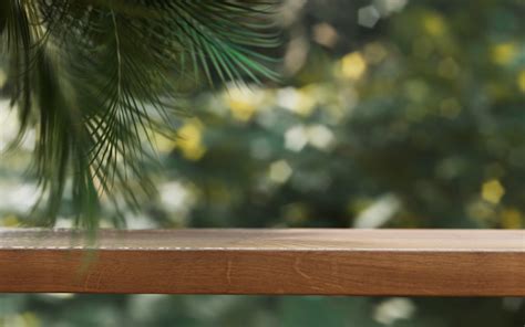 천연 화장품 제품 프리젠 테이션 빈 장면 야자수 잎이 있는 우리 실내 숲 배치 3d 일러스트 콘텐츠 0명에 대한 스톡 사진 및 기타 이미지 Istock