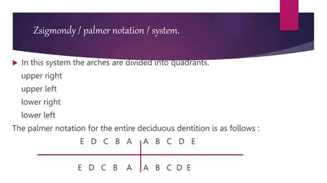 Tooth Numbering System Pptx