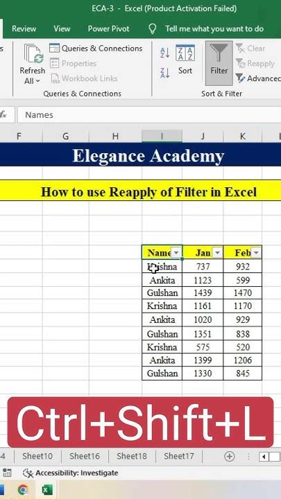 How To Use Reapply In Filter Excel Msexcel Shortsvideo Shorts Ytshorts Eleganceacademy