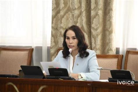 Хүний эрх хамгаалагчийн тухай хуулийн төслийн ЭЦСИЙН ХЭЛЭЛЦҮҮЛГИЙГ хийлээ