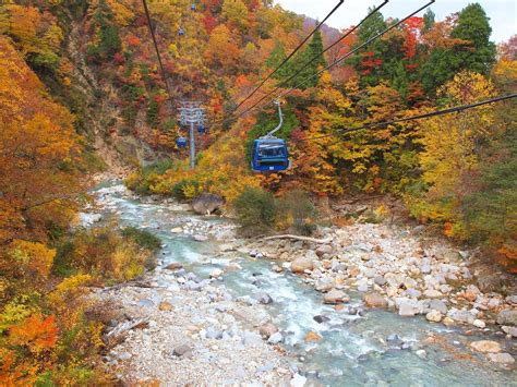 迫力満点絶景フォトスポット日本最長5481mの苗場ドラゴンドラに乗って紅葉空中散歩るるぶ more