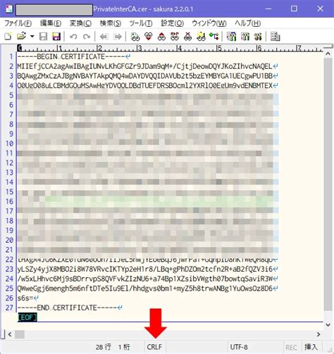 Gitlab「fatal Unable To Access Ssl Certificate Problem Unable To Get Local Issuer Certificate