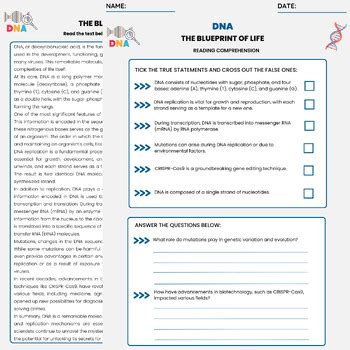 DNA Reading Comprehension Passage Worksheet DNA Mutation And DNA Replication