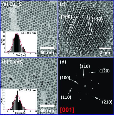 A Tem Image And Corresponding Size Histogram Of 6 6 Nm Cu 2 X S Nc Download Scientific