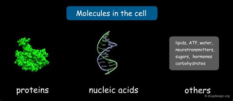Structural Bioinformatics Drug Design Org