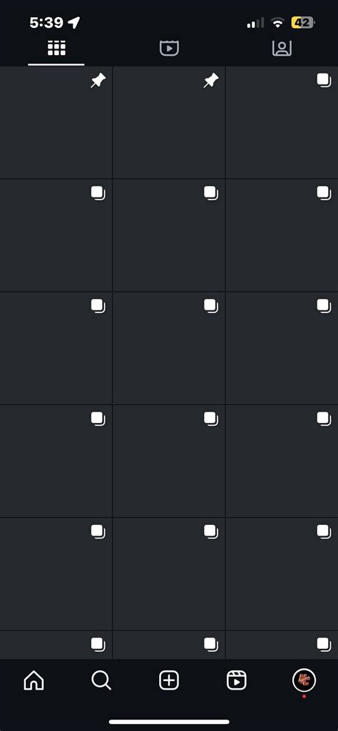 All Pages Are Showing Up Blank For Me Rinstagram