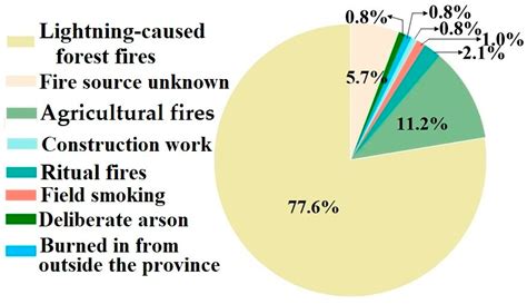 Causes Of Forest Fires