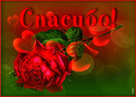Прекрасная и увлекательная гиф открытка с розочкой Спасибо Скачать бесплатно на