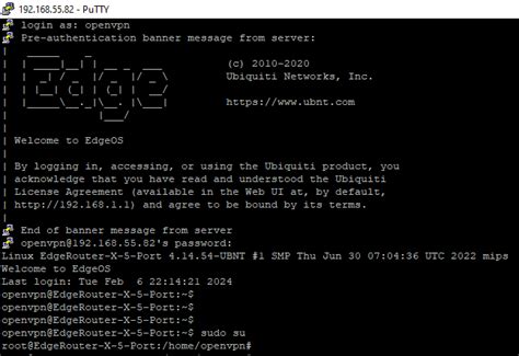 Access Server Configure A Ubiquiti Edgemaxedgeos Router As A Vpn Client Openvpn Support Center