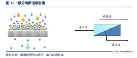 沃顿科技研究报告：我国反渗透膜绝对龙头，进口替代正当时 知乎