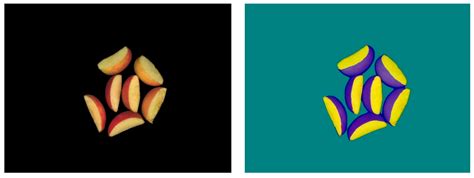 Applied Sciences Free Full Text Semantic Segmentation Of Packaged And Unpackaged Fresh Cut