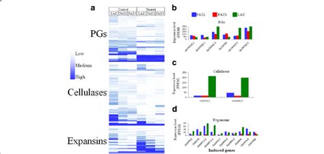 Effect Of Ethephon Treatment On The Expression Patterns Of Genes