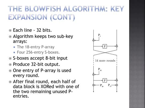 Ppt Blowfish Algorithm Powerpoint Presentation Free Download Id1173033