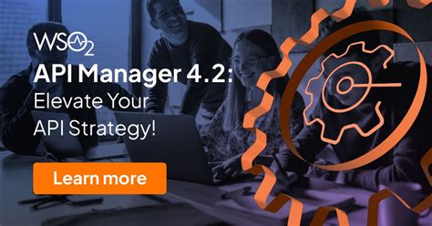 Analissa Jardin On Linkedin Introducing Wso2 Api Manager 42