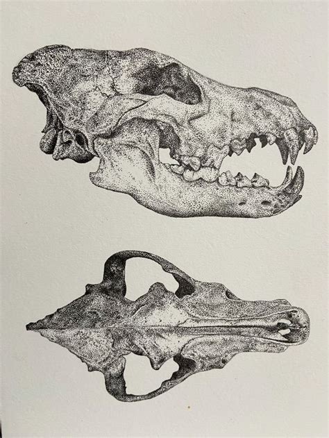 Pointillism Of Dire Wolf Skull In 2025 Wolf Skull Canine Skull Bear