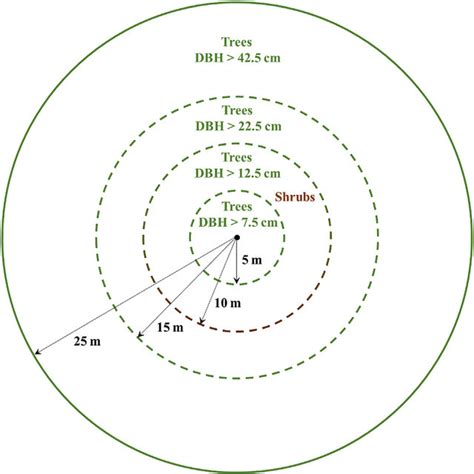 Sampling Design Within The Variable Radius Plots Of The Third Spanish