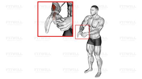 Flexion Finger Stretch Exercise Guide Techniques Benefits How To Muscles Worked Tips