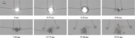 Interactions Between Cavitation Bubble And Particles With The Same