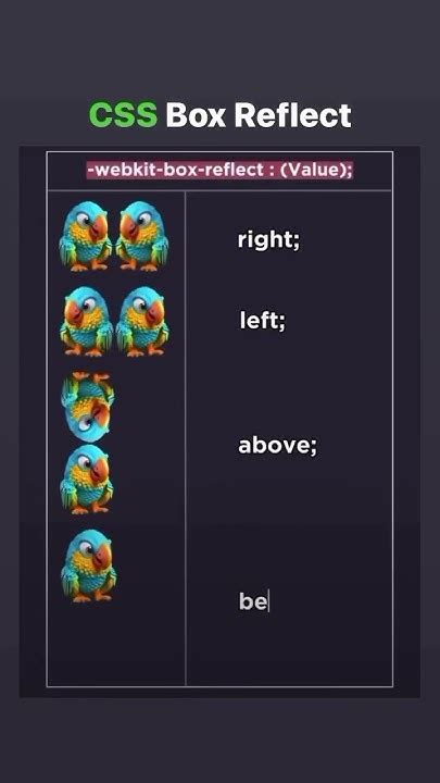 Best Css 😨😨 Codinglover Shortvideos Viral Coderslife Viralvideos Freefire Coder Youtube