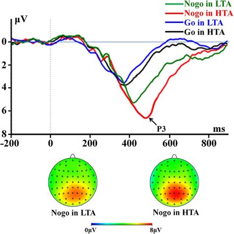 the p3 component time locked to the go and nogo conditions erps were