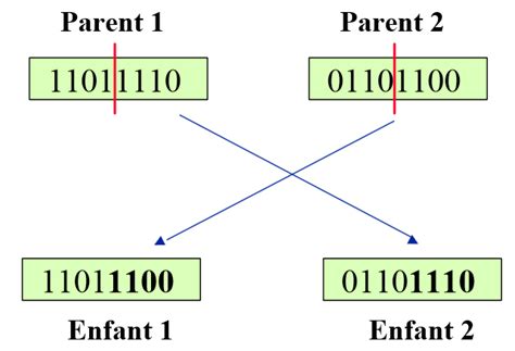 Algorithmes Génétiques Complex Systems And Ai