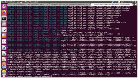 Accessing The Registered Node From The Blockchain Ledger And Successful
