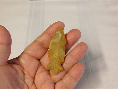 Fl Spike Artifact Translucent Fossils And Artifacts For Sale Paleo Enterprises