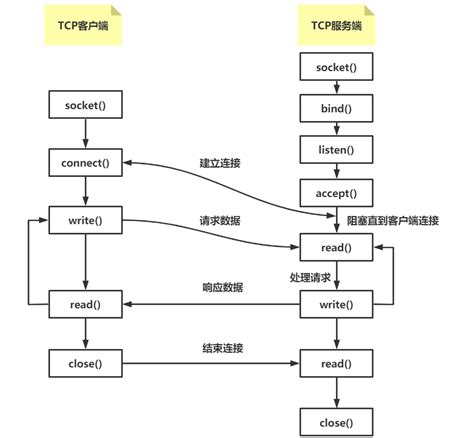 Java 网络编程基础 伊文小哥 博客园