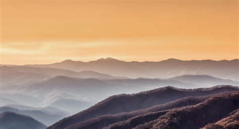 Exploring The “great Smoky Mountains” National Park Cheapest