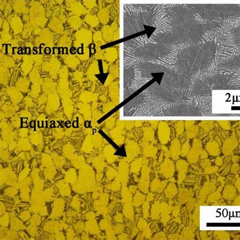 Microstructure Of Basket Weave Tc17 Download Scientific Diagram