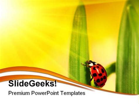 Lady Bug Struggling Nature Powerpoint Templates And Powerpoint Backgrounds 0211 Powerpoint