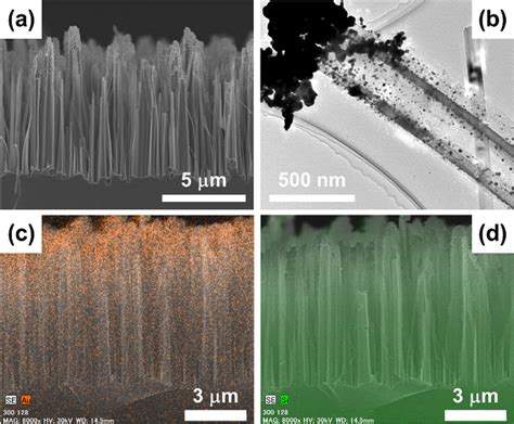A Cross Sectional Fe Sem Image B Tem Image And C D Edx Mapping