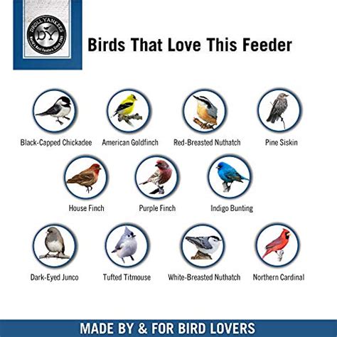 Squirrel Spinning Bird Feeder How It Works And Why You Need One